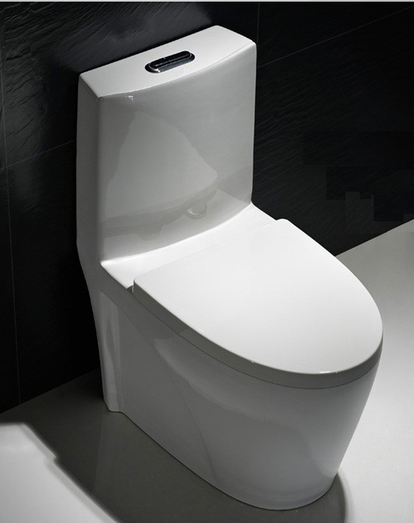 One Piece Round Toilet Dual Flush Single Piece Commode Flush Tank 12 ...